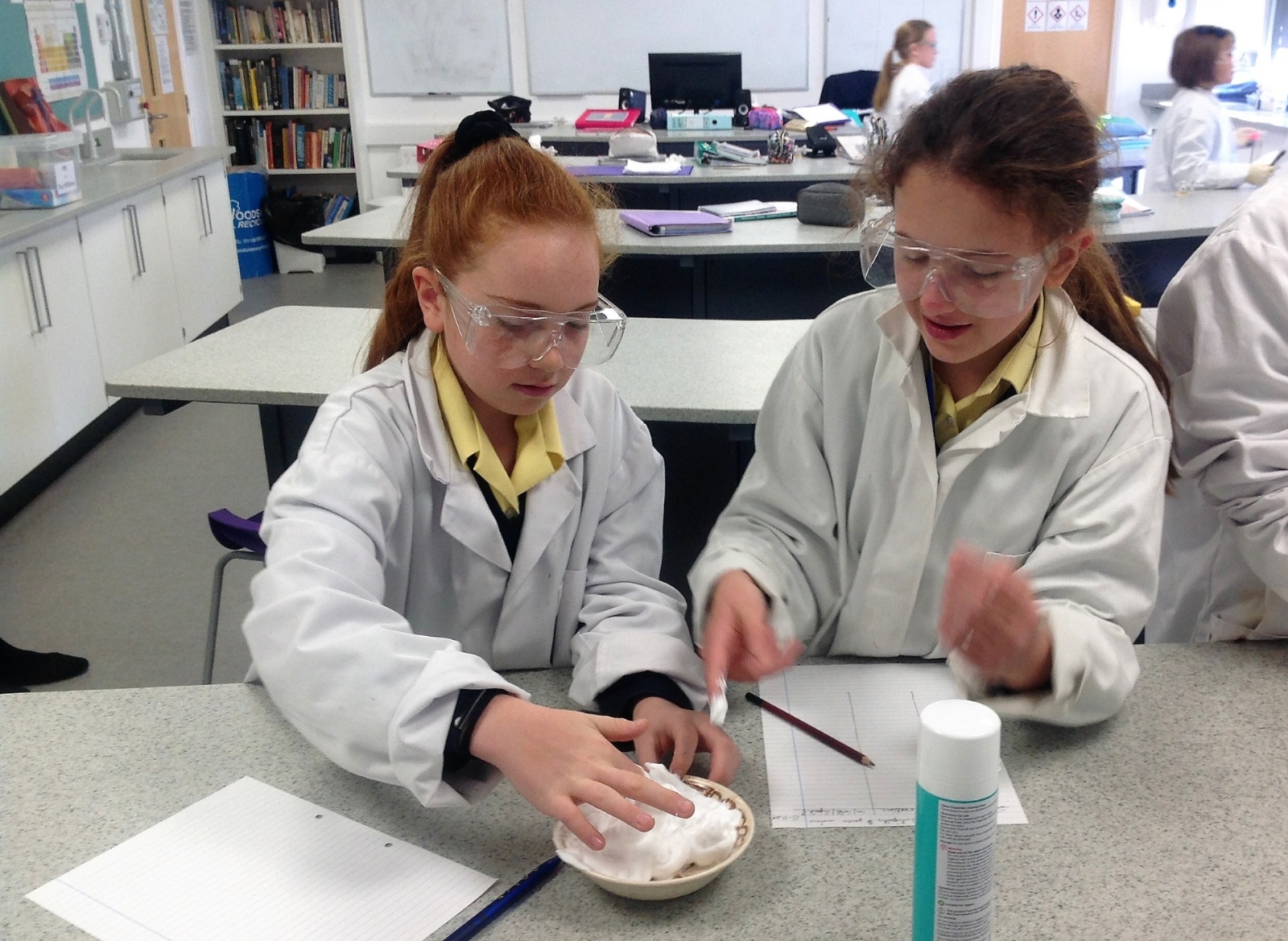 St Gabriel’s - Year 7 Science