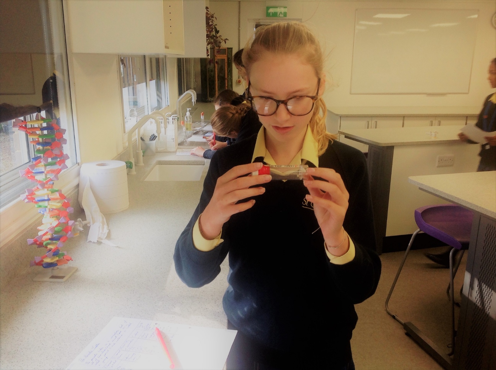 St Gabriel’s - Year 7 Science